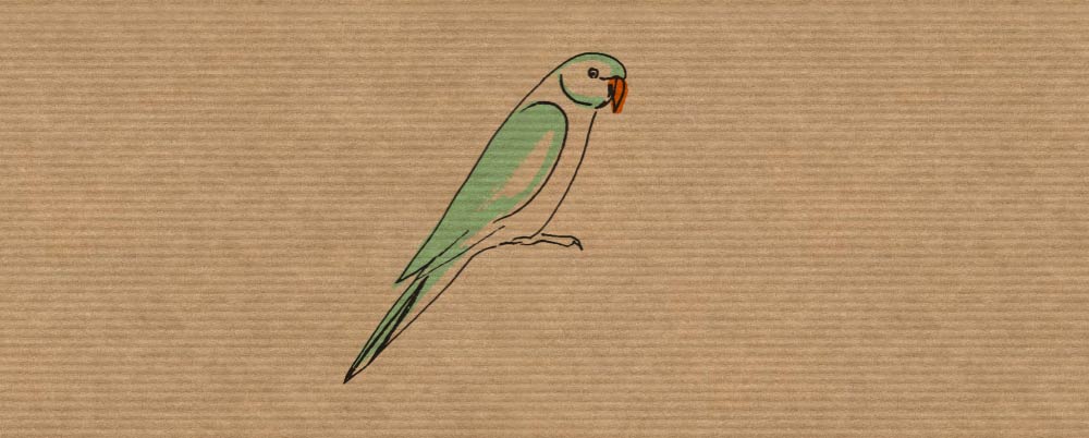 The Parakeet comes to Kentish Town with an ex-Brat chef