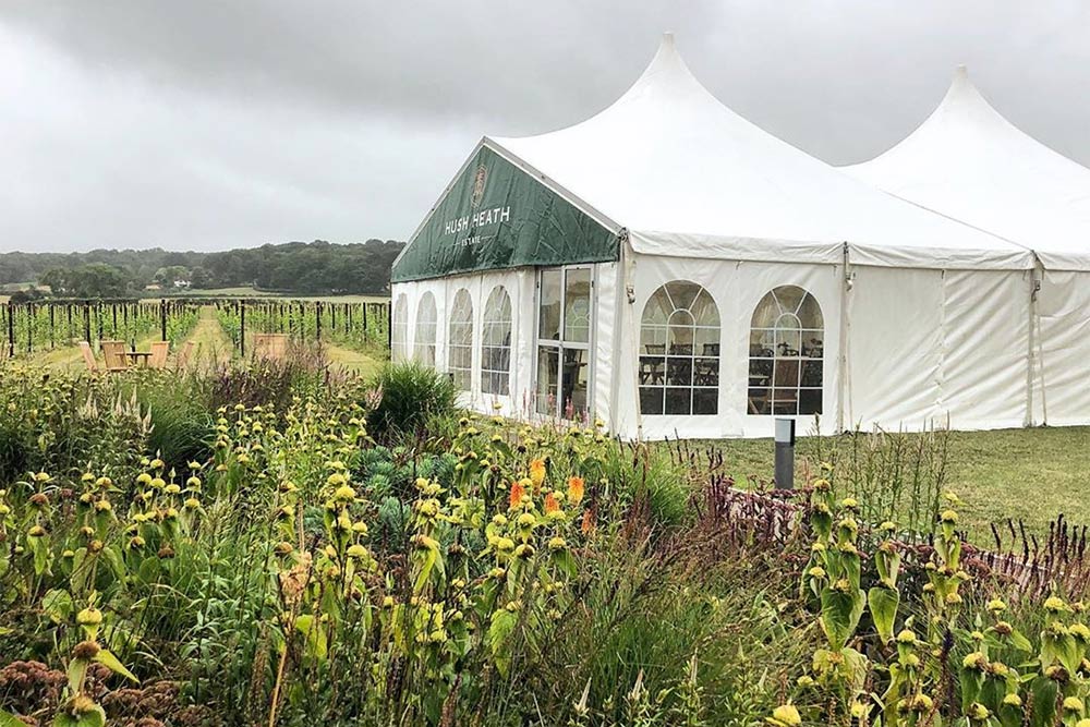 The best vineyards near London that are easy for day trip visits | Hot ...