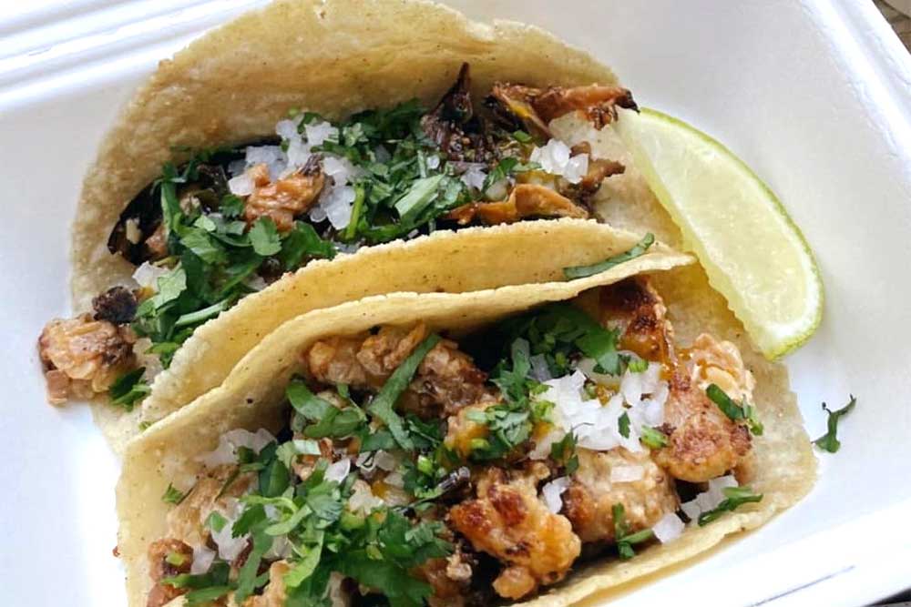 The best tacos in London | Hot Dinners