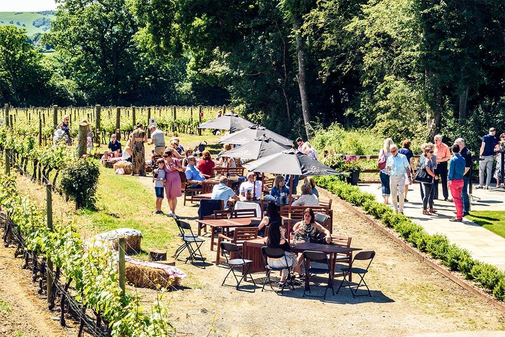 The best vineyards near London that are easy for day trip visits | Hot ...