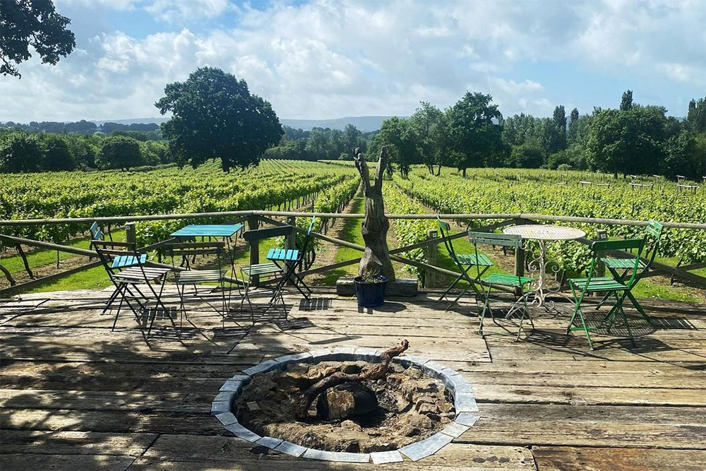 The best vineyards near London that are easy for day trip visits | Hot ...